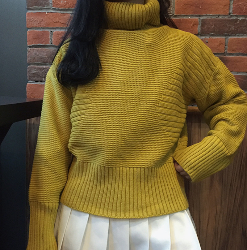 Teenagers Chic Turtle Sweater on Luulla